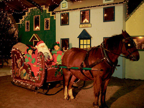 Advertiser.ie - Visit Santa and his deer at Glendeer Pet Farm