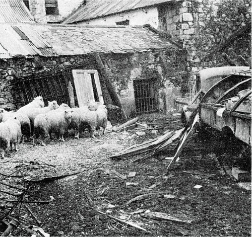 Advertiser.ie - Galway abattoir