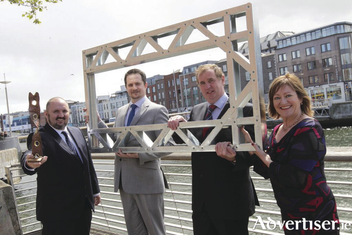 Advertiser.ie - Vision Built representing Local Enterprise Office ...