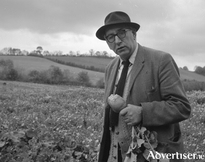 Advertiser.ie - Remembering Patrick Kavanagh in Galway