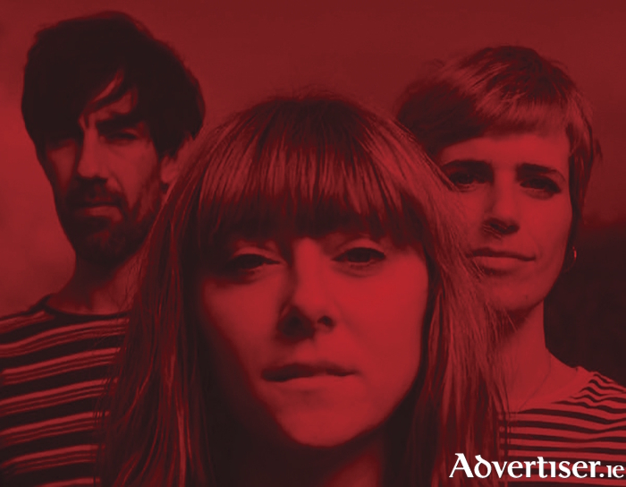 Advertiser.ie - Album review: Me and the Bees