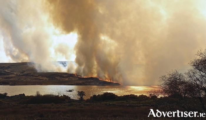 Advertiser.ie - Efforts to fight Galway forest fire continue but ...