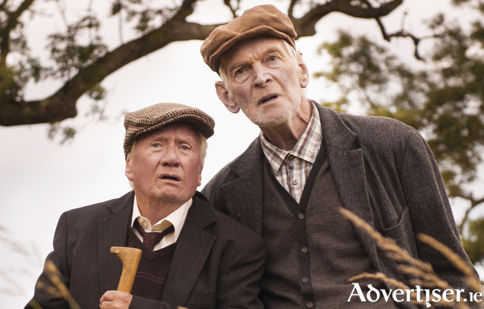 Advertiser.ie - 'A beautiful piece of writing'