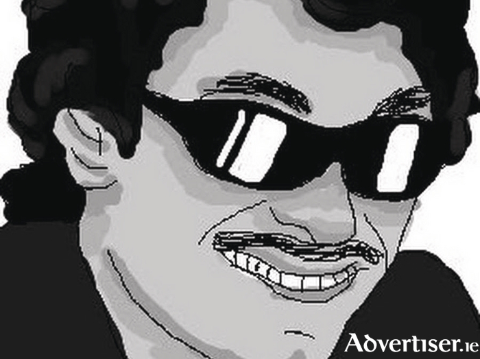 Advertiser.ie - The Viper - Mayo's answer to David Icke?