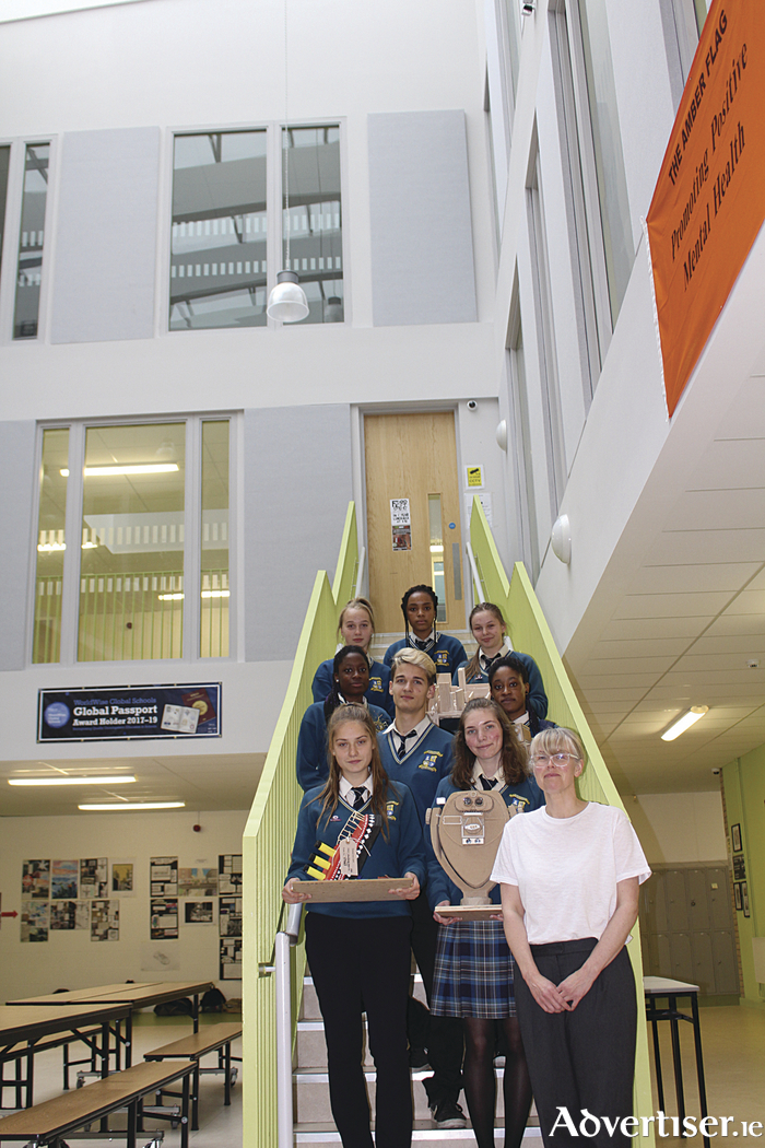 Advertiser.ie - The art of success at Merlin College