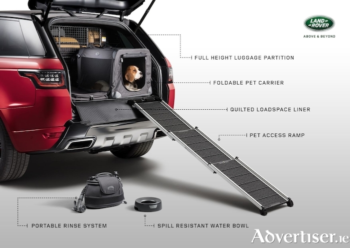 Advertiser.ie - Land Rover makes life more comfortable for dogs