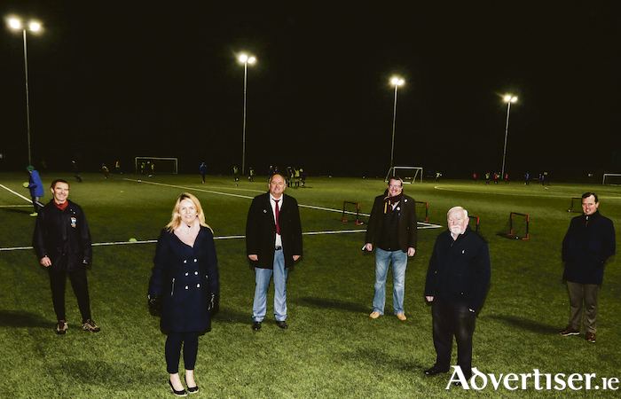 Advertiser.ie - City council bring Christmas gift of lights to Cappagh