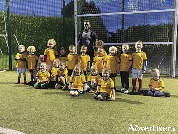 Advertiser.ie - Rosemount GAA look to future with launch of underage ...