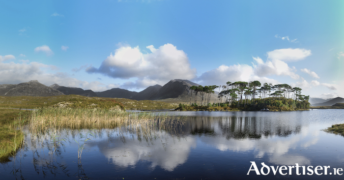Advertiser.ie - Spring into Nature with Galway County Council