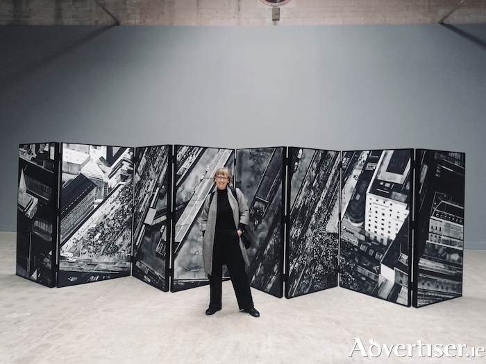 Advertiser.ie - 'Getting to Know...' Joy Gerrard, visual artist