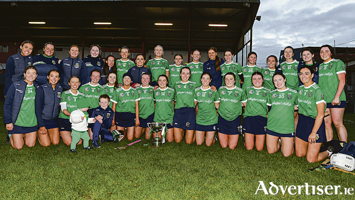 Advertiser.ie - Sarsfields secure win to defend All Ireland crown