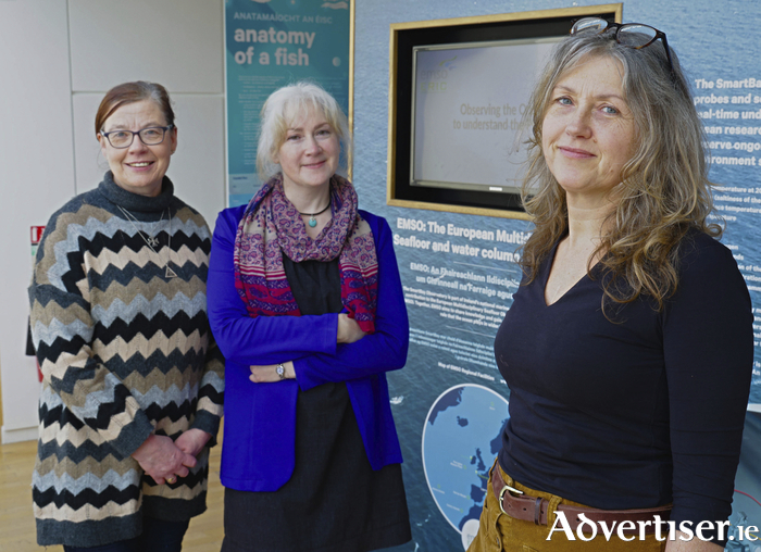 Advertiser.ie - Museum-based art therapy workshops explore positive ...