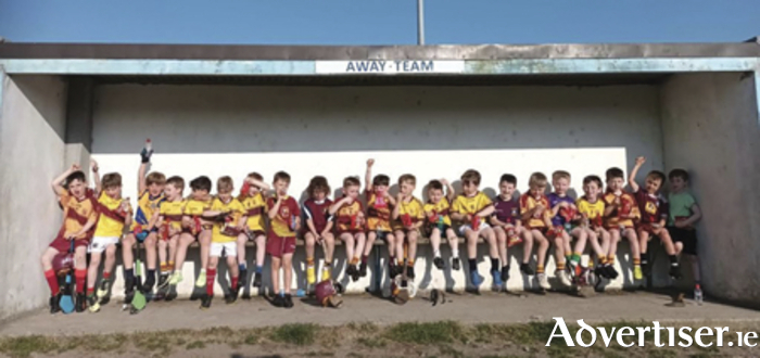 Advertiser.ie - Southern Gaels celebrate milestone anniversary with ...