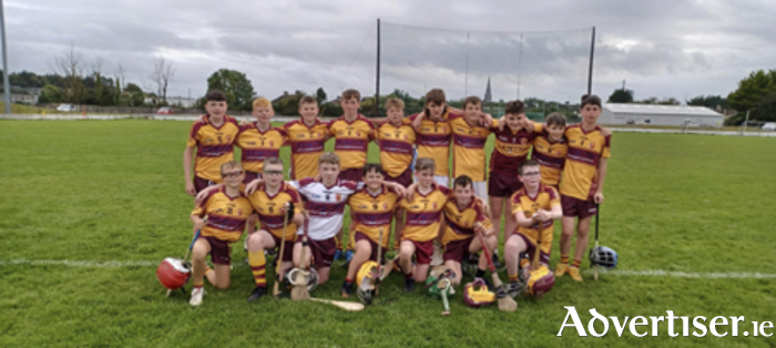 Advertiser.ie - Progressive results for Southern Gaels underage hurling ...