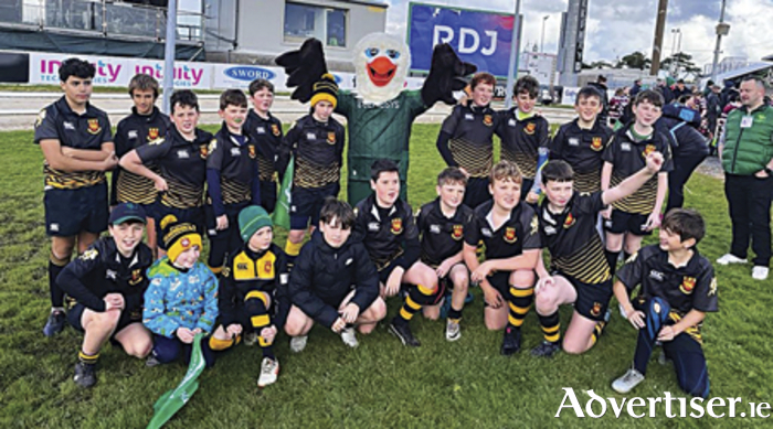 Advertiser.ie - Buccaneers host Old Belvedere in crucial Energia AIL ...