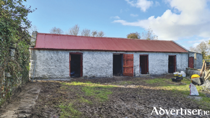 Advertiser.ie - Preserving heritage - restoration project supported by ...