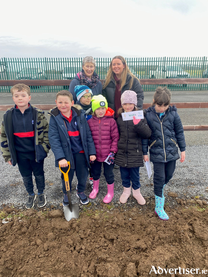 Advertiser.ie - Racecourse plants 2,500 native Irish trees as part of ...