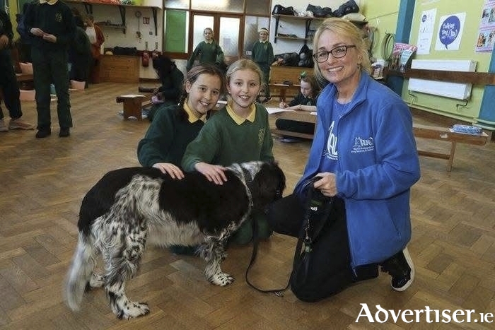 Advertiser.ie - MADRA Talking Dog Workshops to return