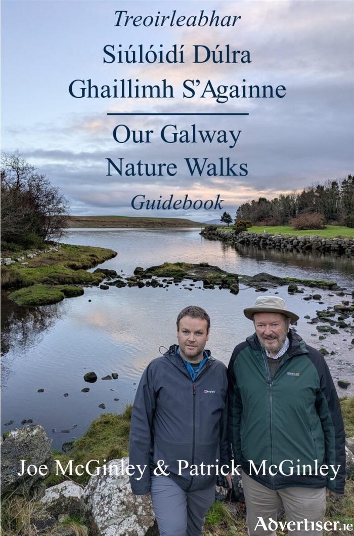 Advertiser.ie - Galway city walks go bilingual