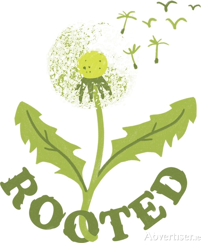 Advertiser.ie - Rooted in the River: dance, storytelling and nature ...